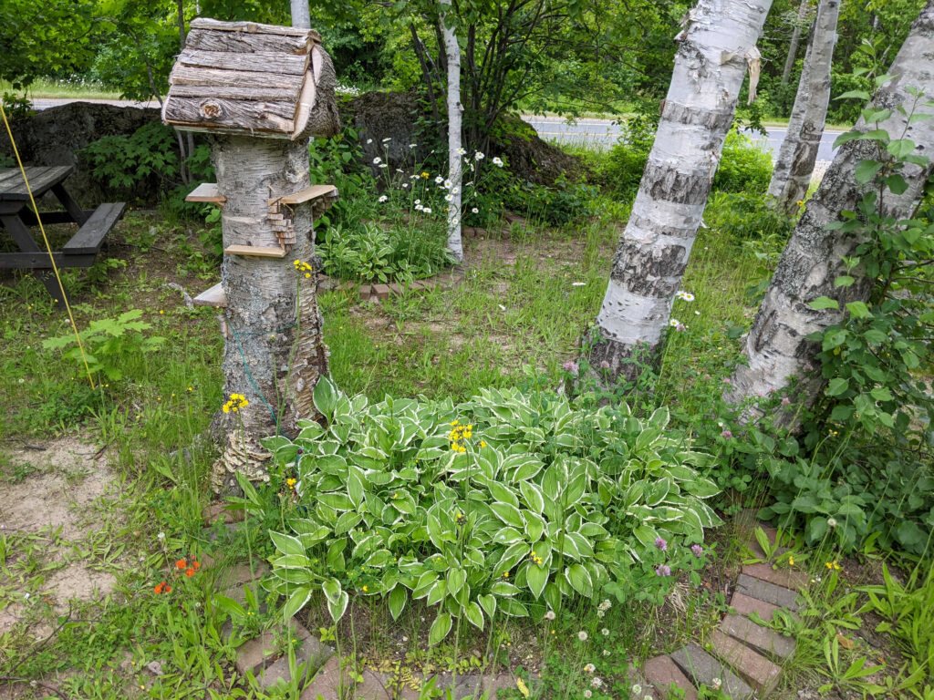 Home - New Brunswick Native Plants